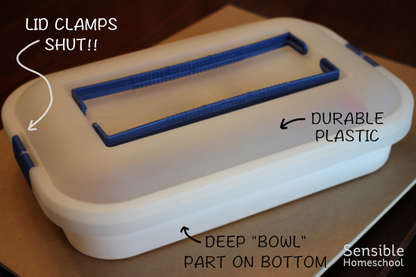 The Sensible Homeschool - How to Make an Indoor Mini Sandbox for Your Kids