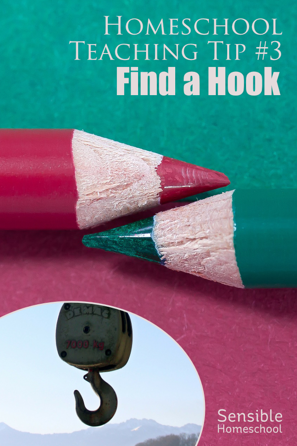 The Sensible Homeschool - Homeschool Teaching Tip #3: Find a Hook