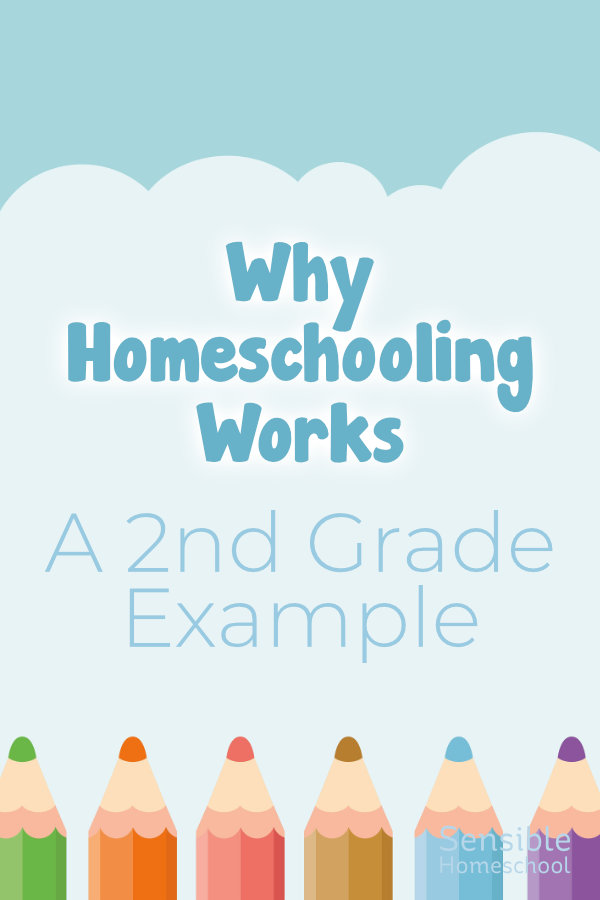 The Sensible Homeschool - Why Homeschooling Works – A 2nd Grade Example