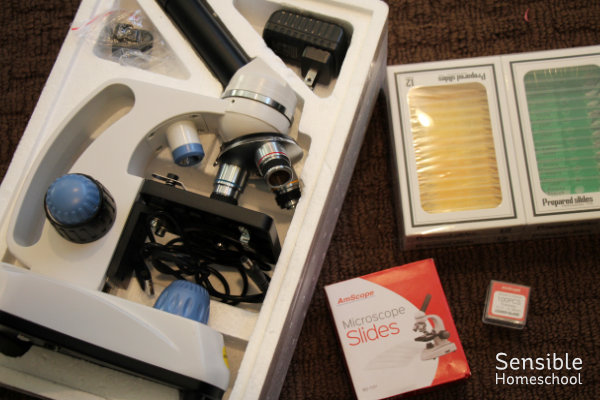 The Sensible Homeschool - A Tour of Our Homeschool: Science Shelves