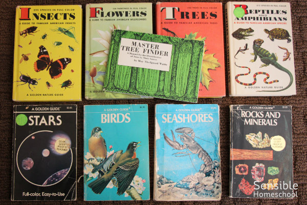 The Sensible Homeschool - A Tour of Our Homeschool: Science Shelves