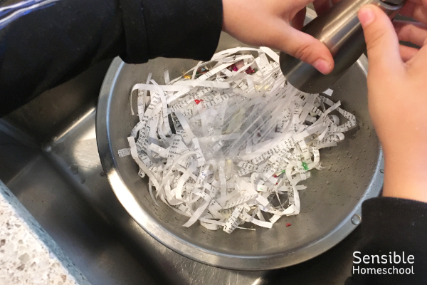 The Sensible Homeschool - How to Make Homemade Paper: A Tutorial with ...