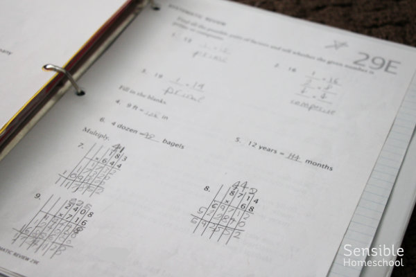 The Sensible Homeschool - Looking Back on 2020: A Homeschool End-of ...