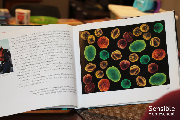 The Sensible Homeschool - Building Foundations of Scientific ...