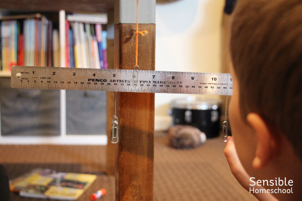 The Sensible Homeschool - Building Foundations of Scientific ...