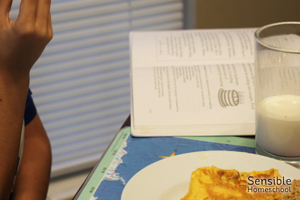 The Sensible Homeschool - Kids Are Always Learning (Even on the Weekend)