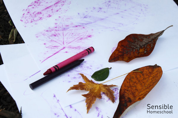 The Sensible Homeschool - Kids Are Always Learning (Even on the Weekend)