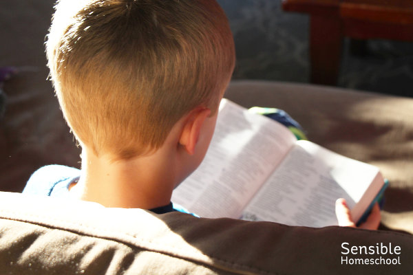 The Sensible Homeschool - A Day in Our Homeschooling Life